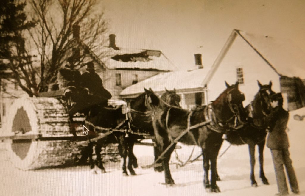 Snow Rollers & Snow Donuts – W. Ray Freden